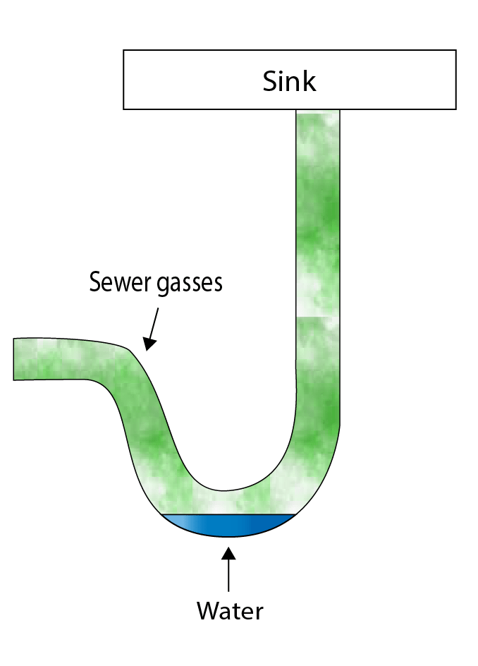 All About S Traps - HouseWorks Blog